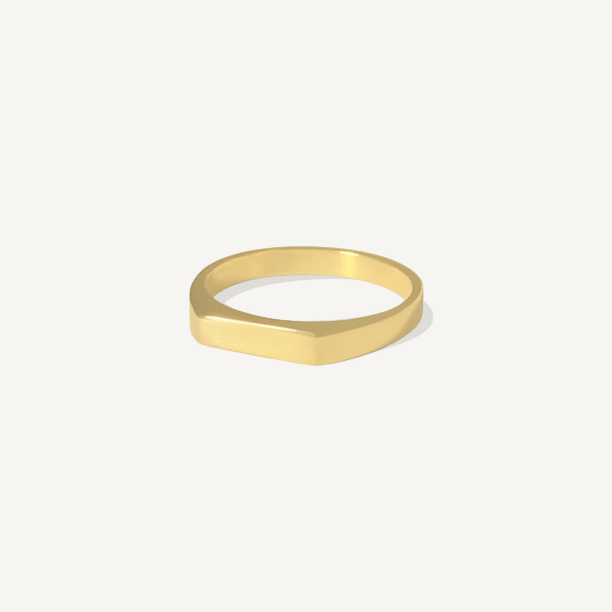 The Minimal Flat Signet Ring – Flecked with Gold